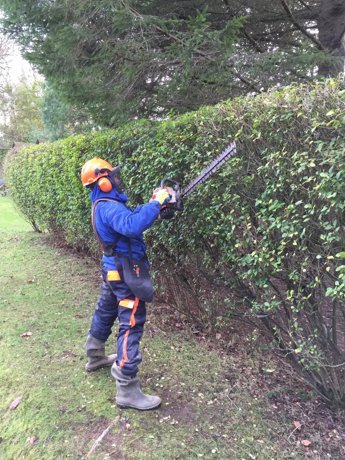 Building Services - Seraphim